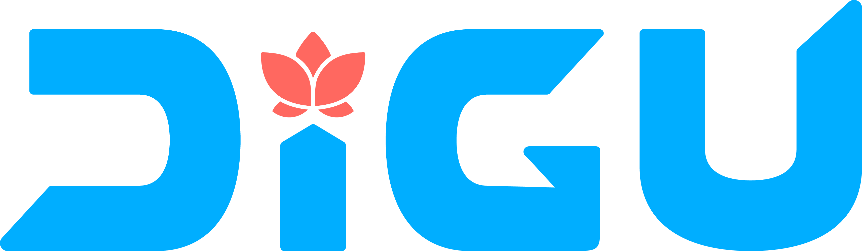 Build Apps & Scale Teams | DIGU